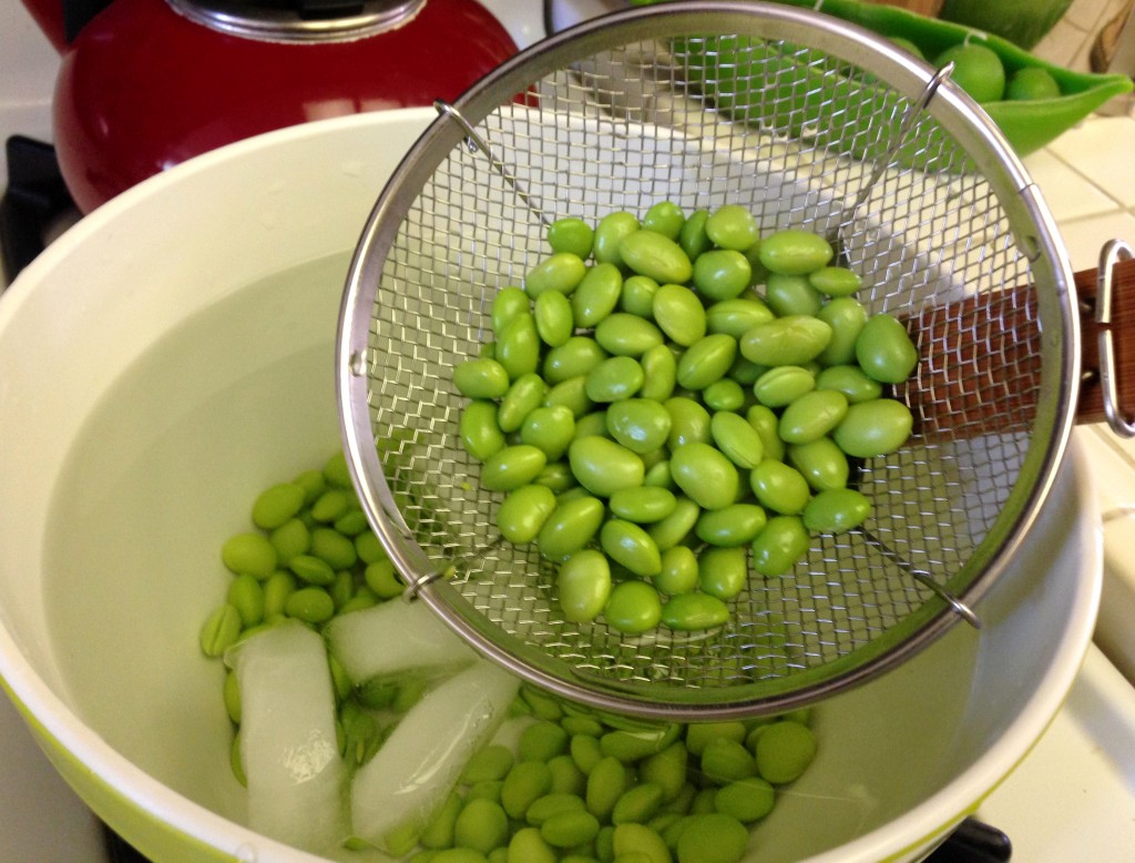 Fiesta Summer Salad – Life of the Party Always!