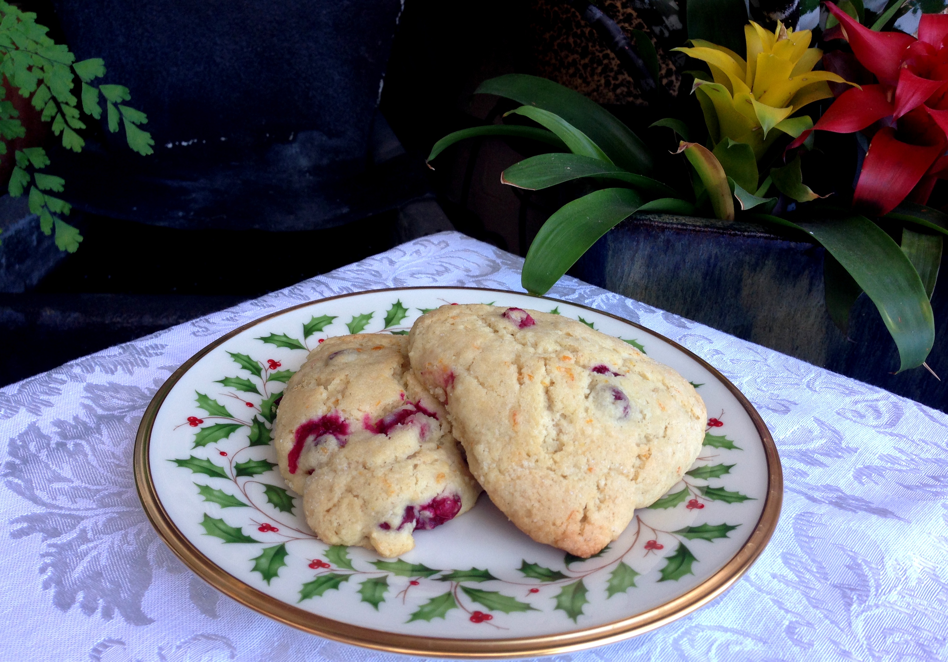 Gluten Free Cranberry Orange Scones – Life of the Party Always!